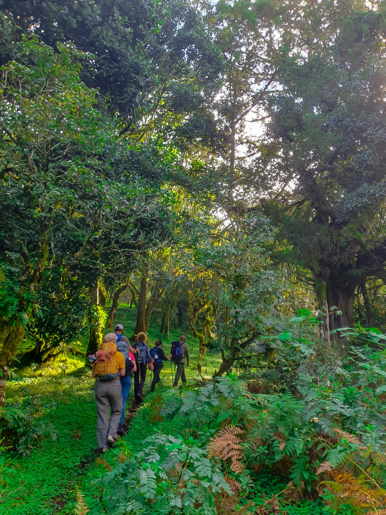 Momela 3 days Climb | Prime Kili